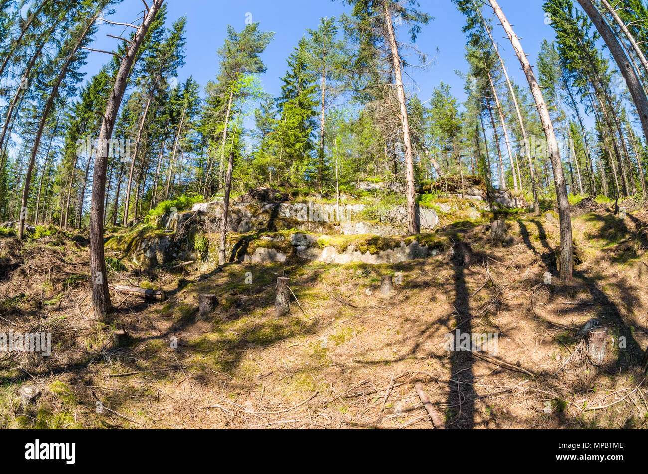 Ancient abandoned small quarry in young forest in Lillomarka close to ...