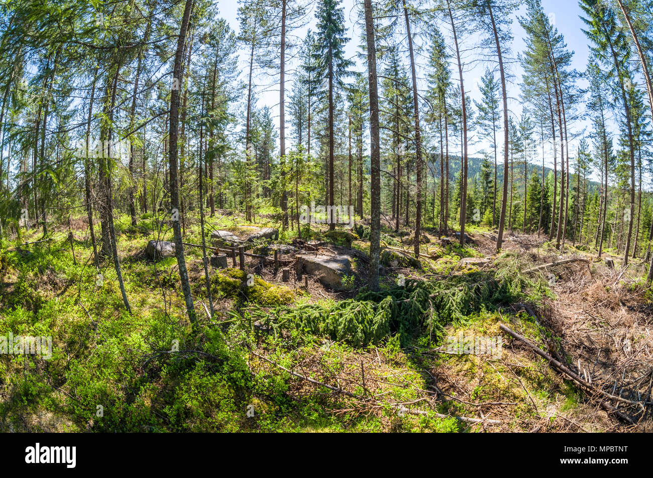 Day of harvesting hi-res stock photography and images - Alamy