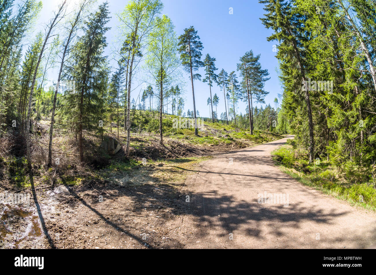 Oslo forest hi-res stock photography and images - Alamy