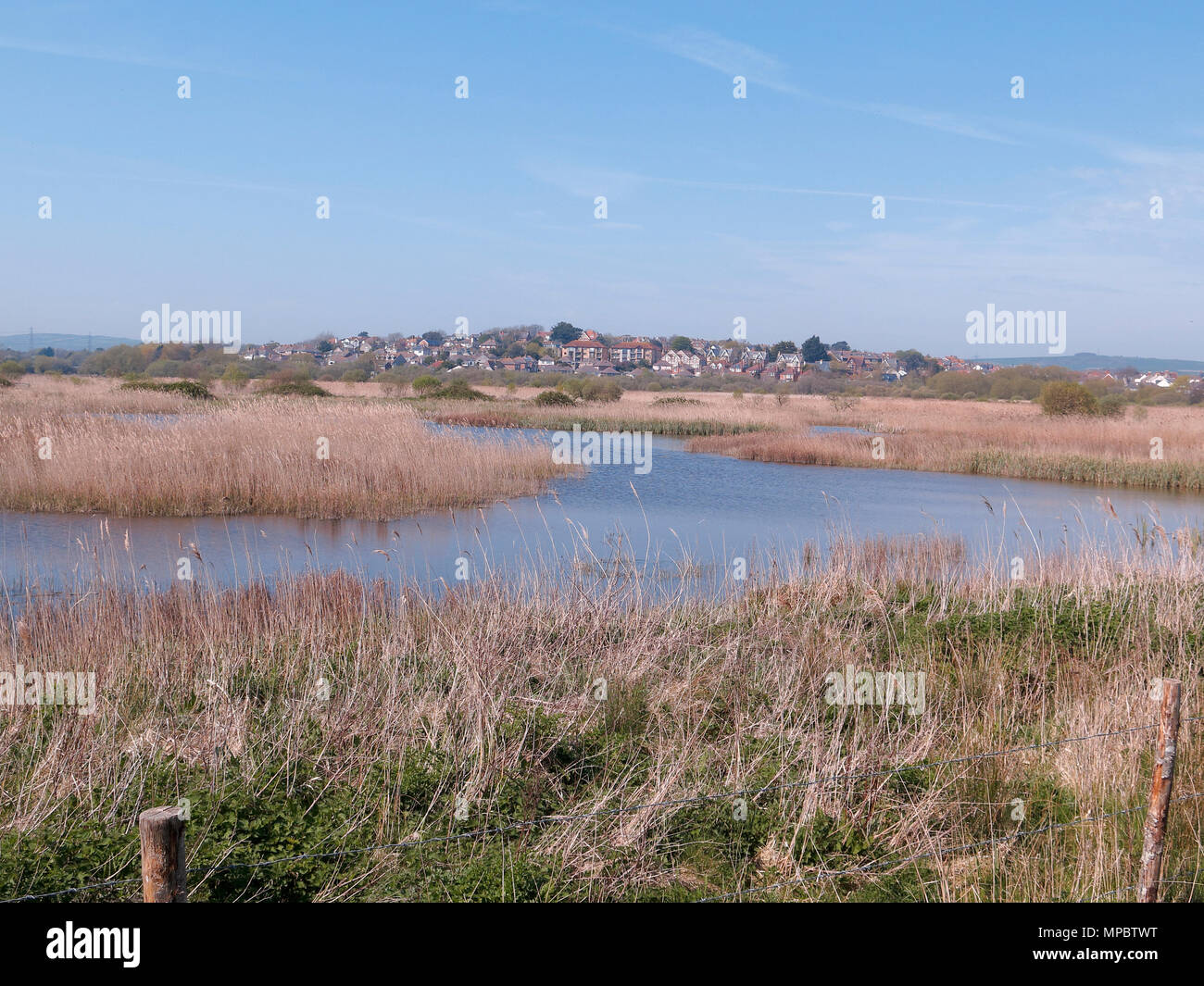 Radipole lake hi-res stock photography and images - Alamy