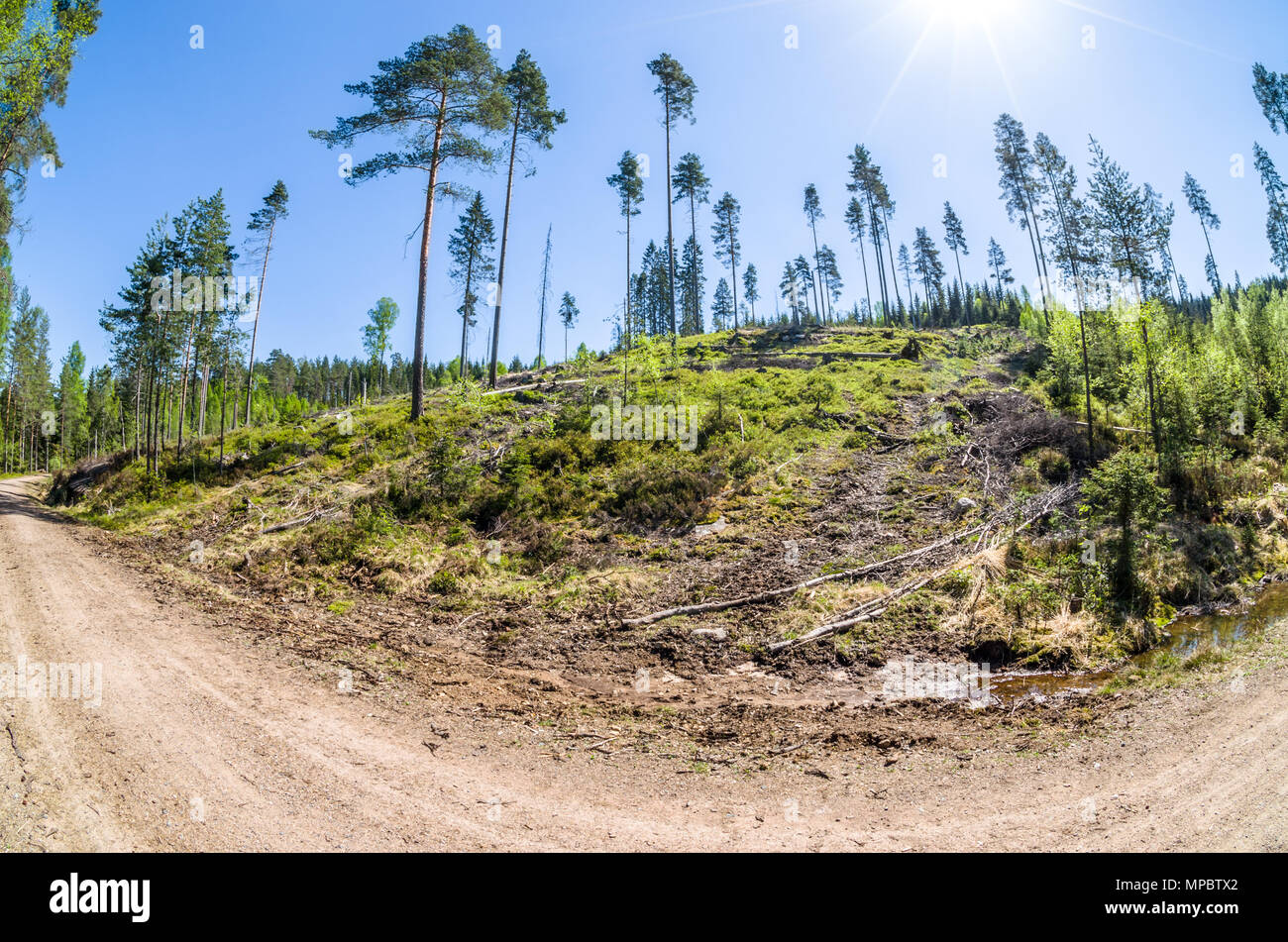 Oslo trekking routes hi-res stock photography and images - Alamy