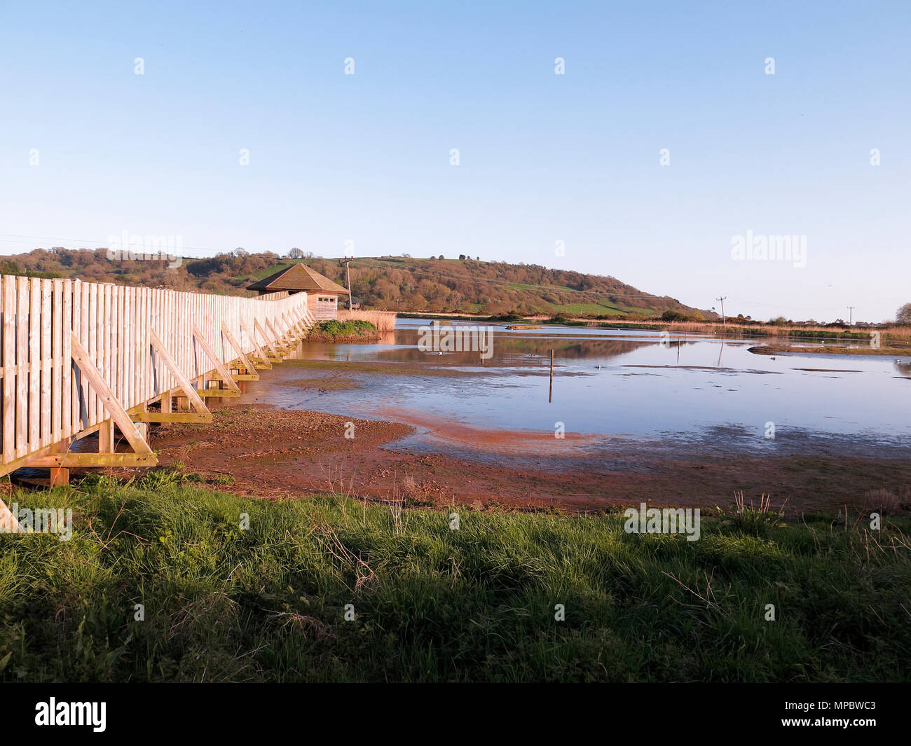 Devon island and wildlife hi-res stock photography and images - Alamy