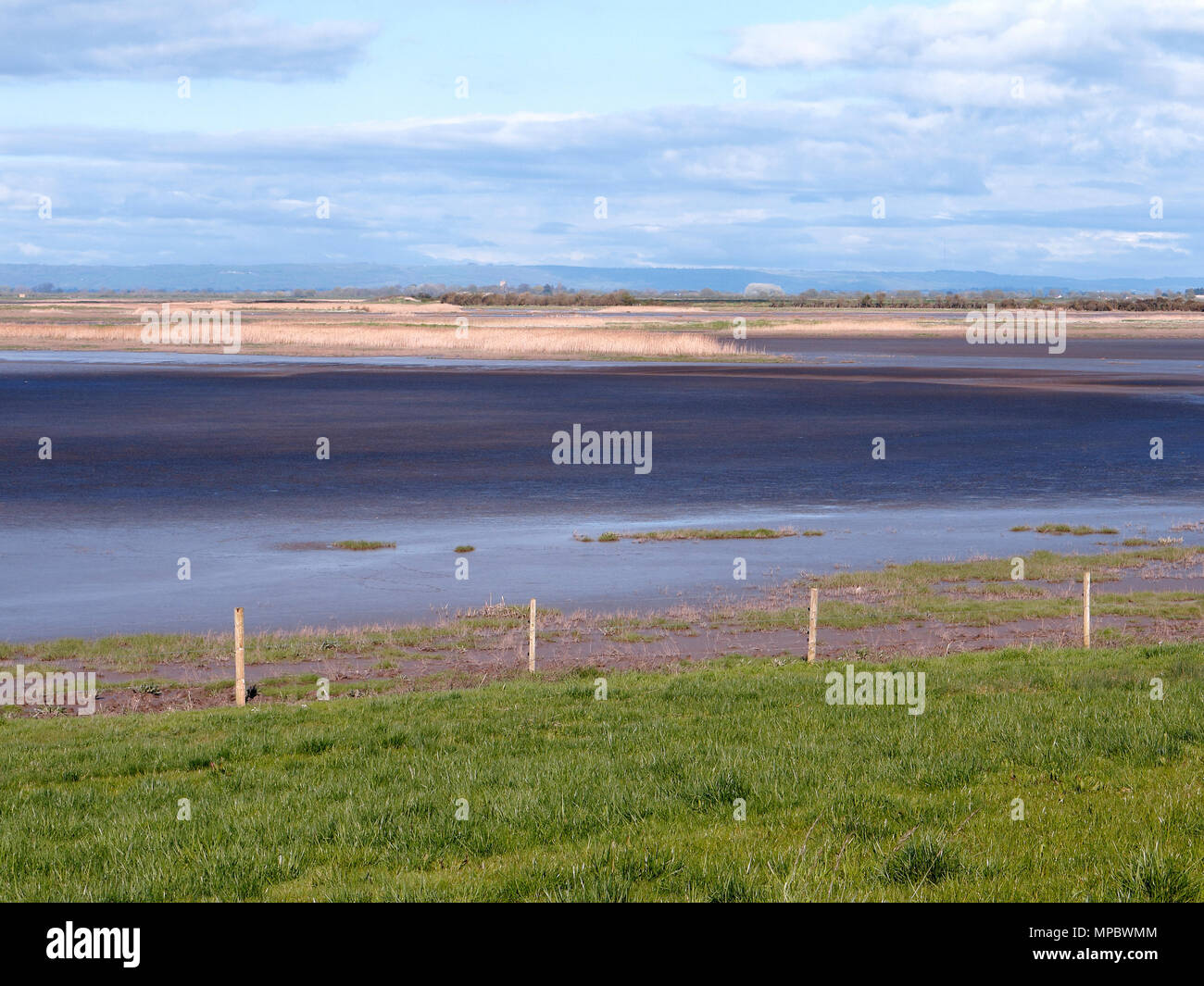 Steart marshes hi-res stock photography and images - Alamy