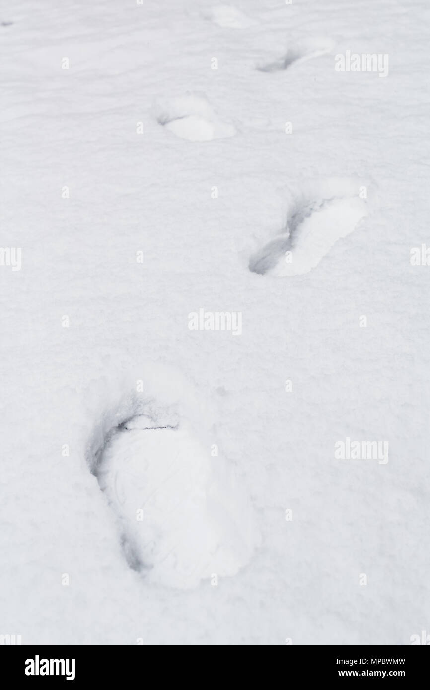 Human footprints in the snow hi-res stock photography and images - Alamy