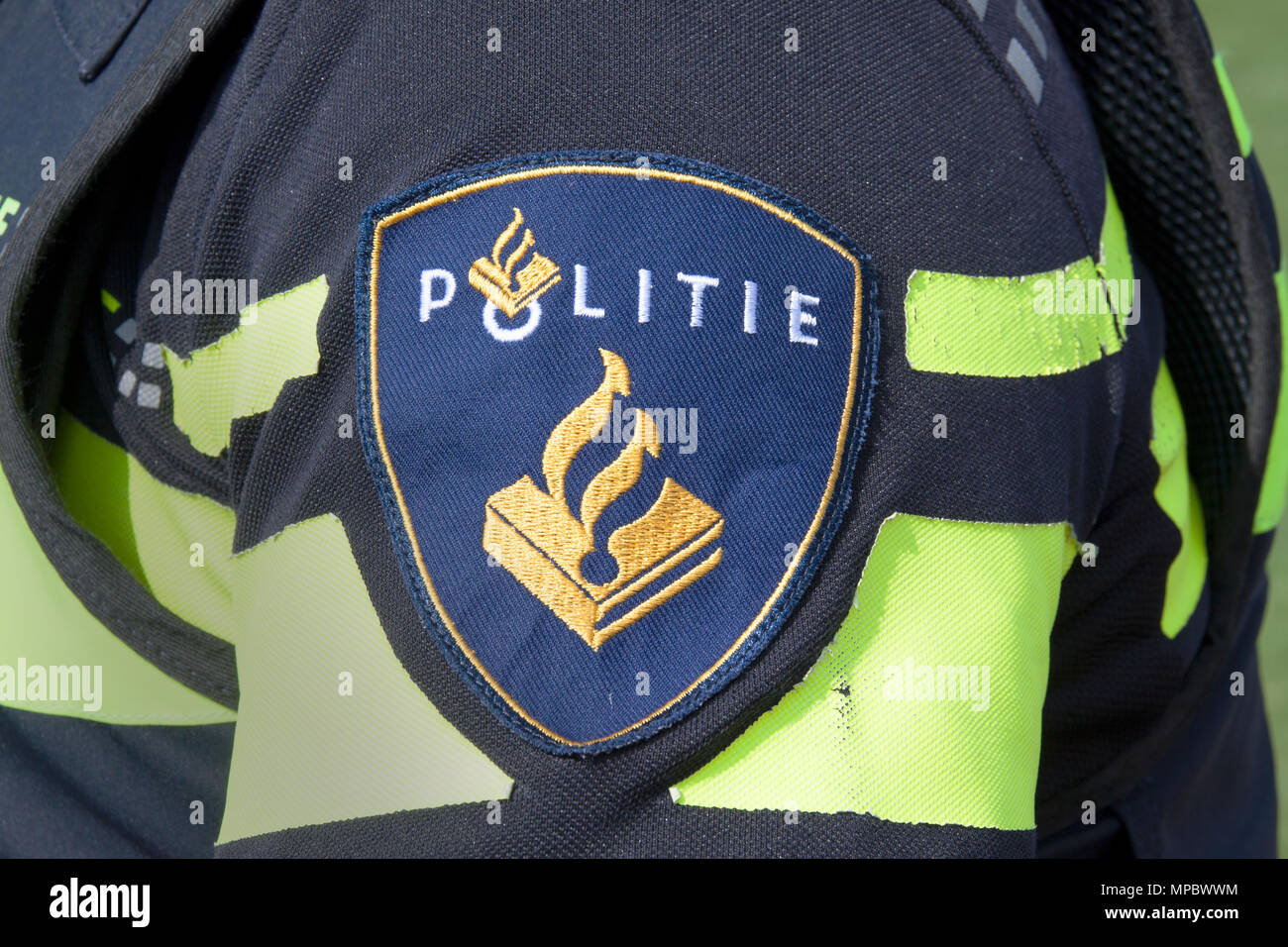 Dutch blue guard hi-res stock photography and images - Alamy