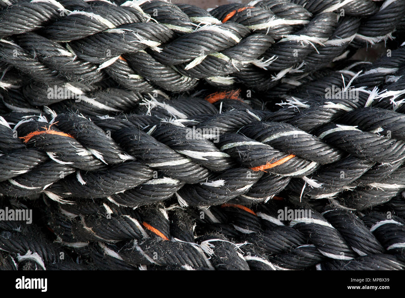 black beaten rope with white and orange fibers,cordage Stock Photo - Alamy