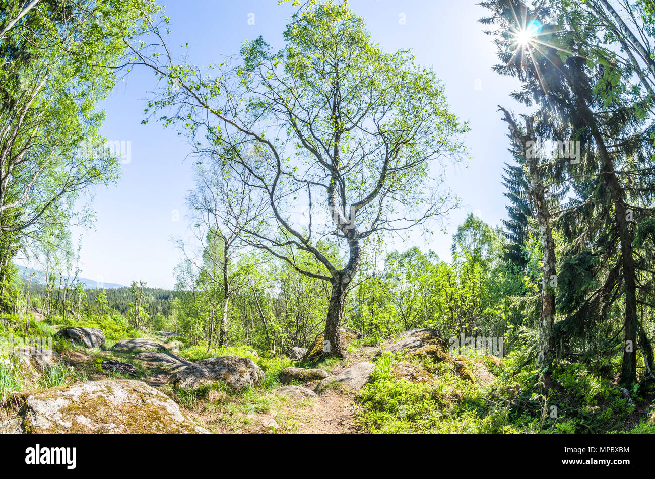 Oslo trekking routes hi-res stock photography and images - Alamy