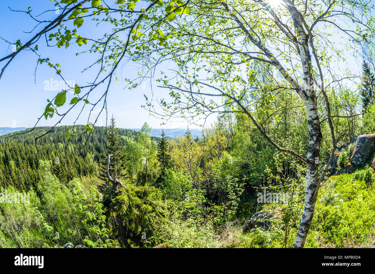 Walking routes in sweden hi-res stock photography and images - Alamy