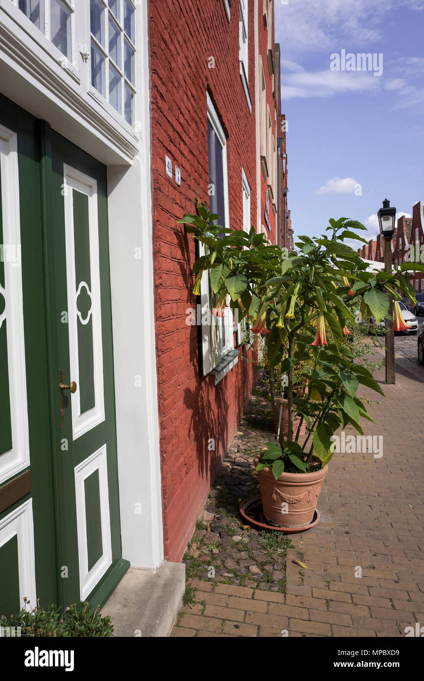 Germany potted display of hi-res stock photography and images - Alamy