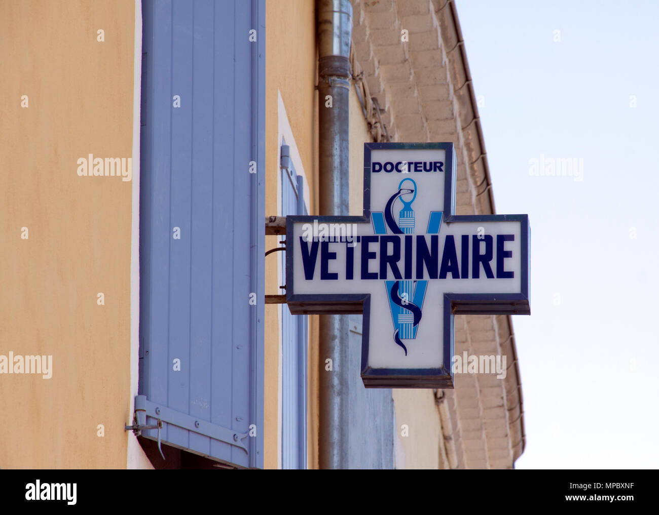 Veterinary france hi-res stock photography and images - Alamy