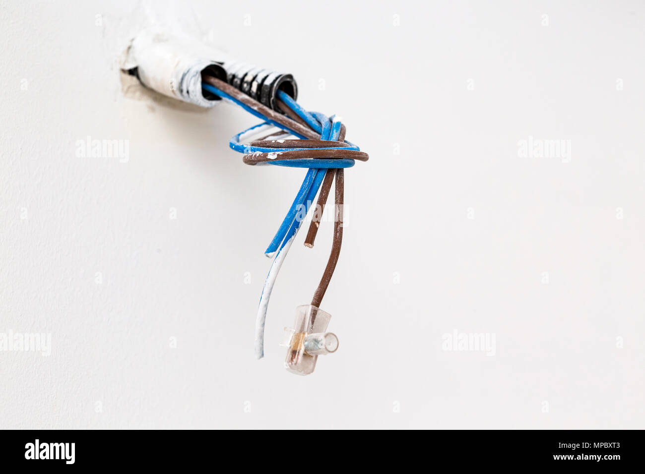 Morseta hi-res stock photography and images - Alamy