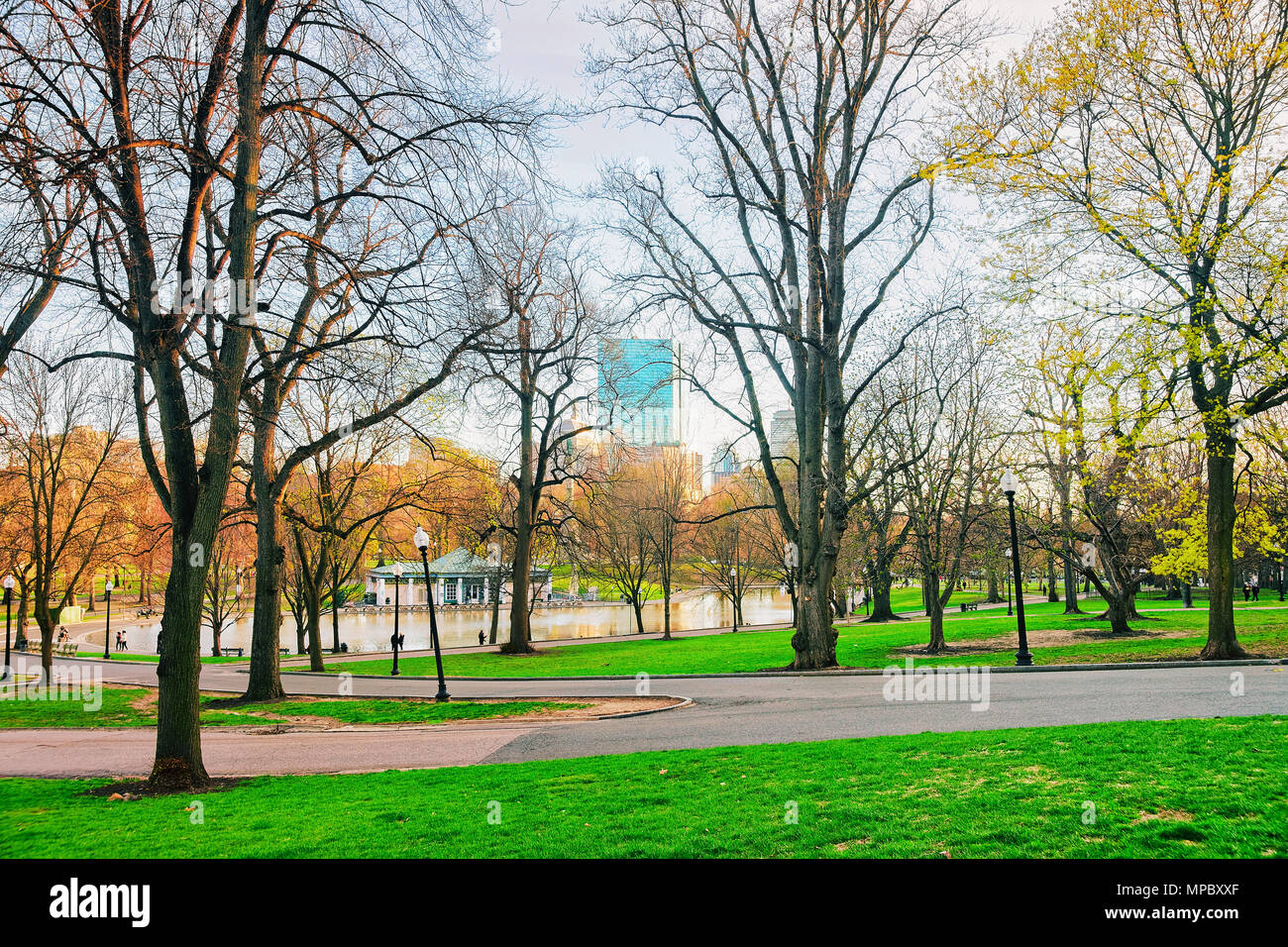 Skyline and Boston Common public park at downtown Boston, Massachusetts ...
