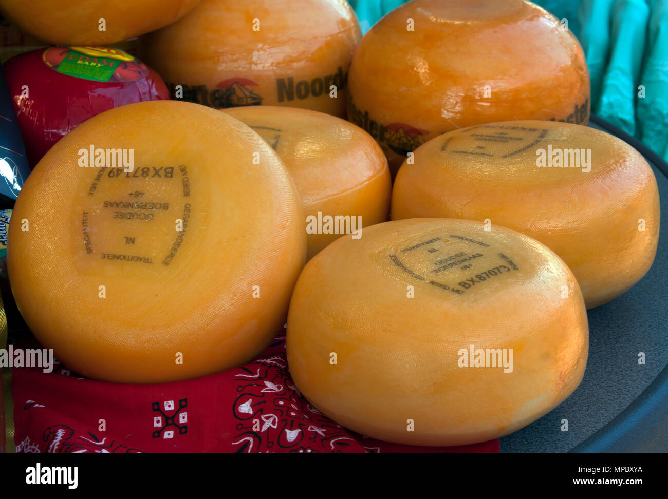 Seven dutch cheeses on the market Stock Photo - Alamy