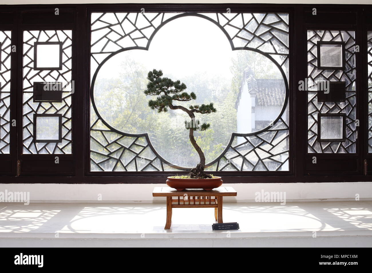 Yangzh, Yangzh, China. 22nd May, 2018. Penjing, also known as penzai ...