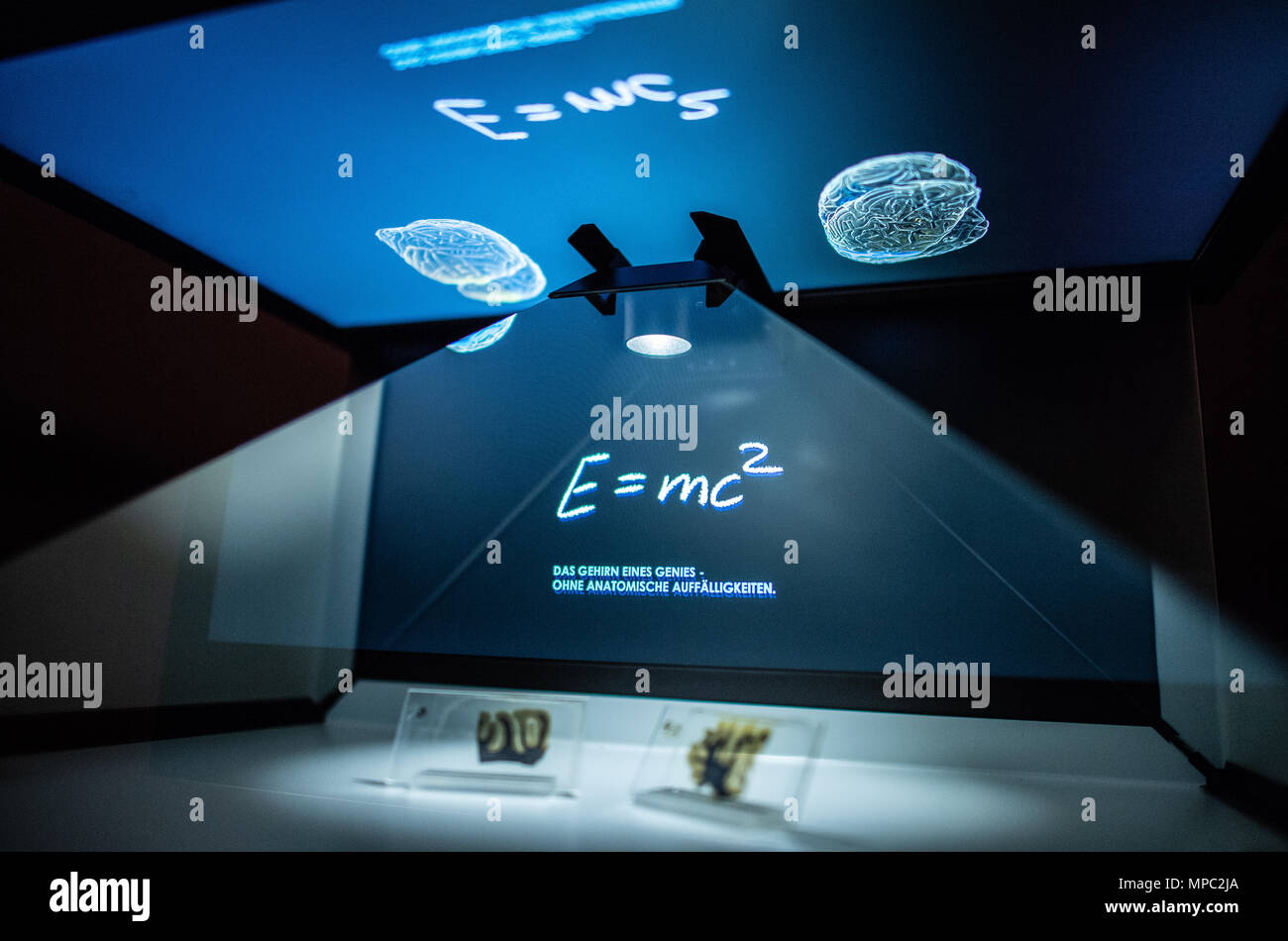 Albert einstein brain hi-res stock photography and images - Alamy