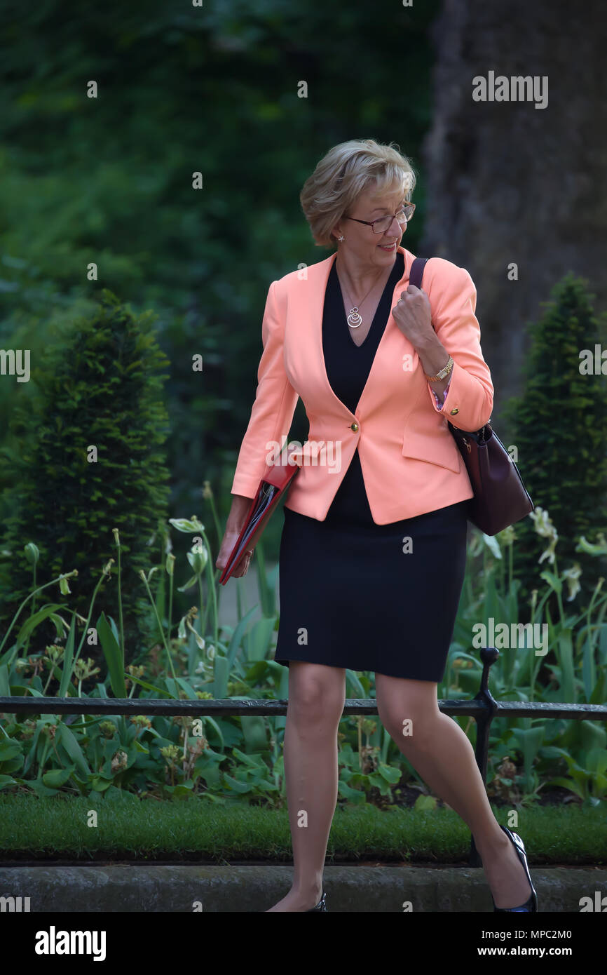 London,UK,22nd May 2018,Leader of the House of Commons and Lord ...
