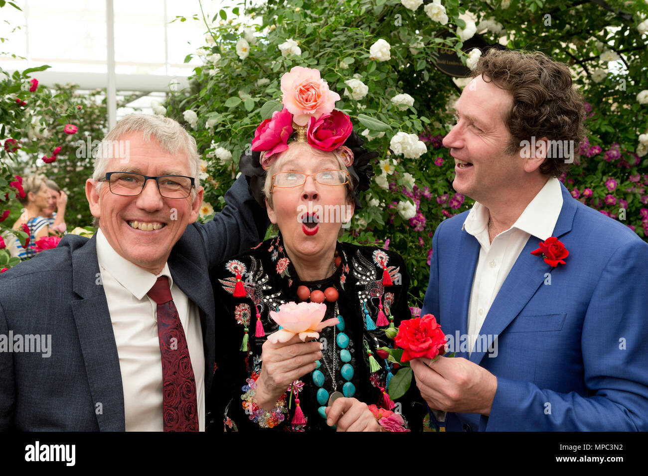 Limmer High Resolution Stock Photography and Images - Alamy
