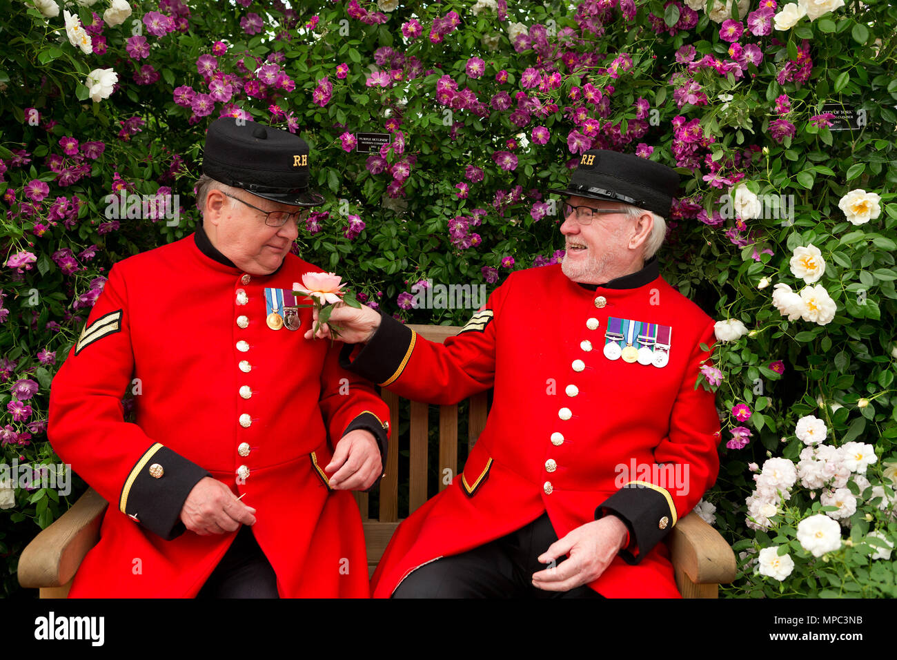 London, UK. 21st May 2018. Chelsea Pensioners smell 'Fragrant ...