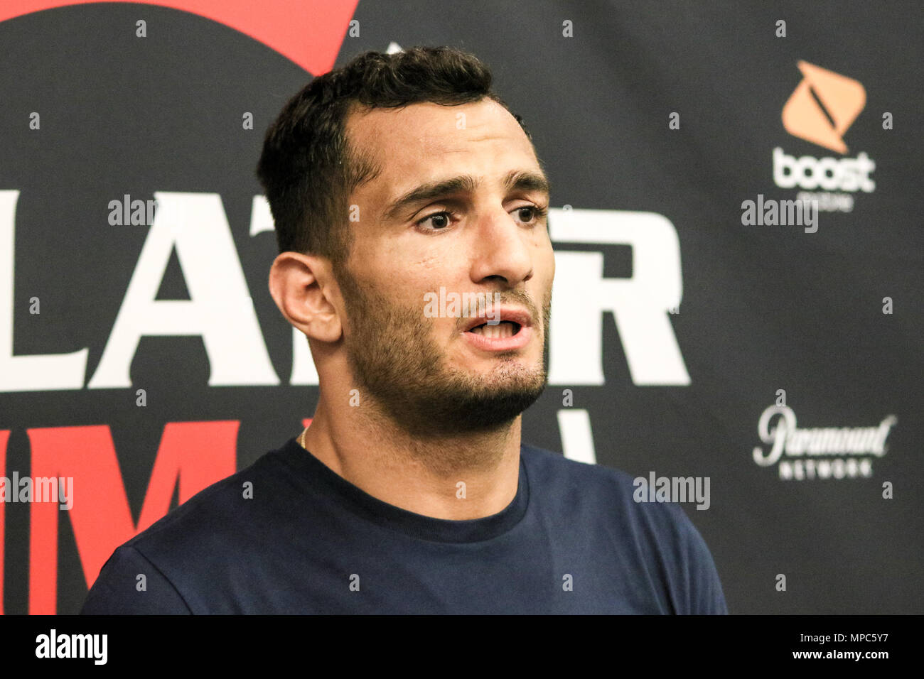 Mousasi hi-res stock photography and images - Alamy