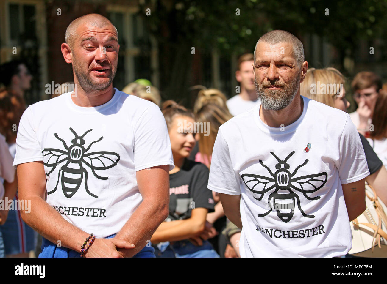 Mcr bees hi-res stock photography and images - Alamy