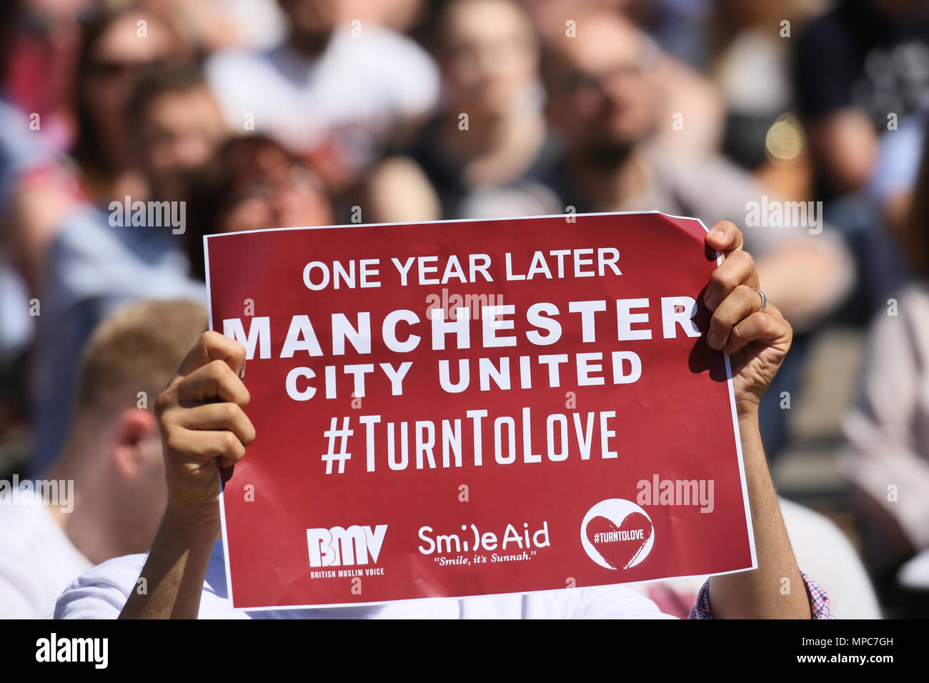 Mcr bees hi-res stock photography and images - Alamy