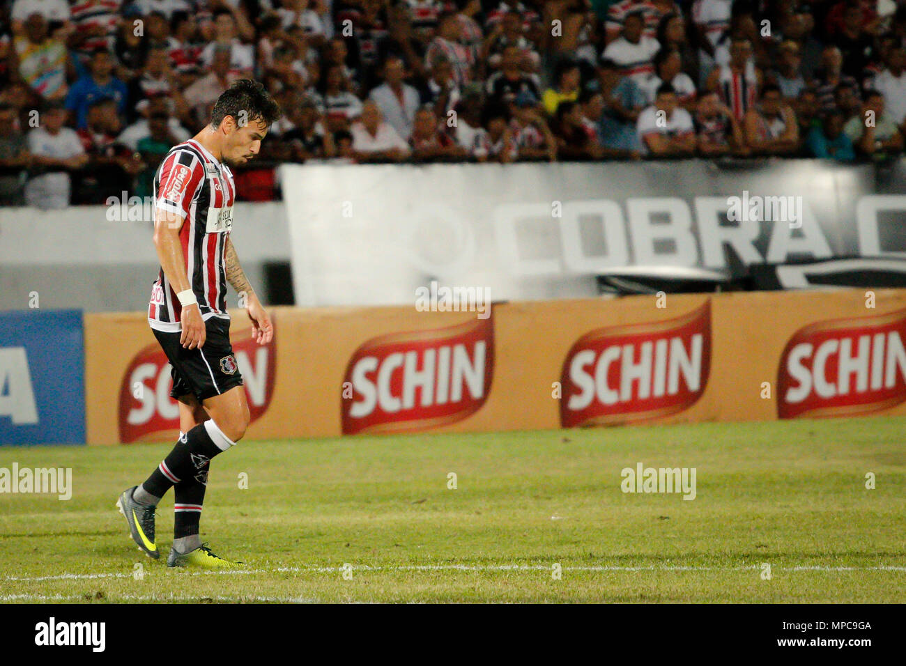 Estadio abc hi-res stock photography and images - Alamy