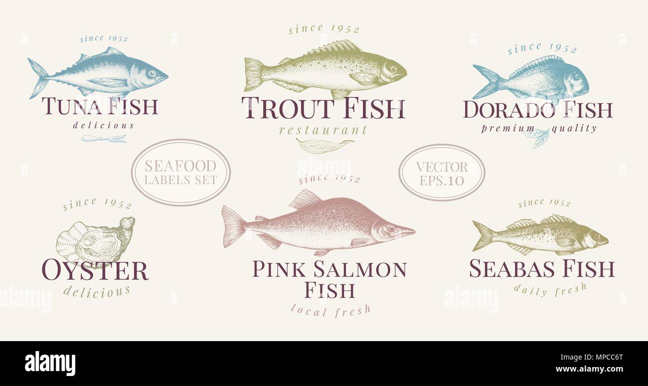 Hand drawn fish and seafood labels set in retro style. Vector logo ...