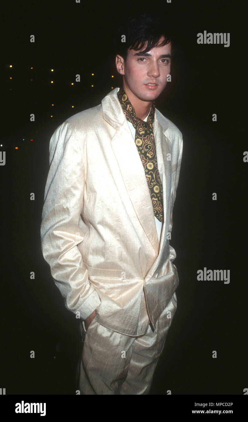 LOS ANGELES, CA - JANUARY 28: Singer Tommy Page attends the 18th Annual ...
