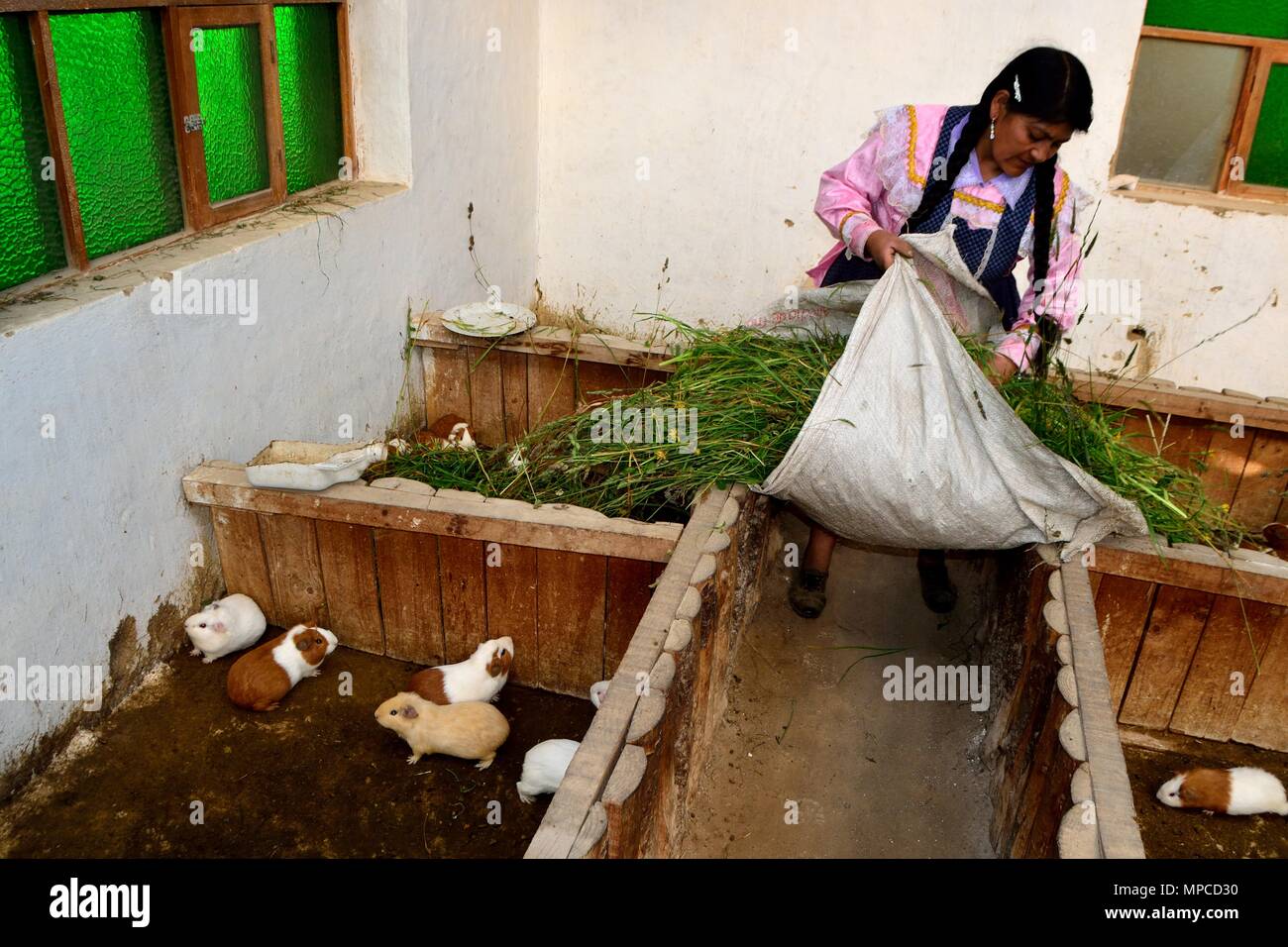 Peruvian farm workers hi-res stock photography and images - Alamy