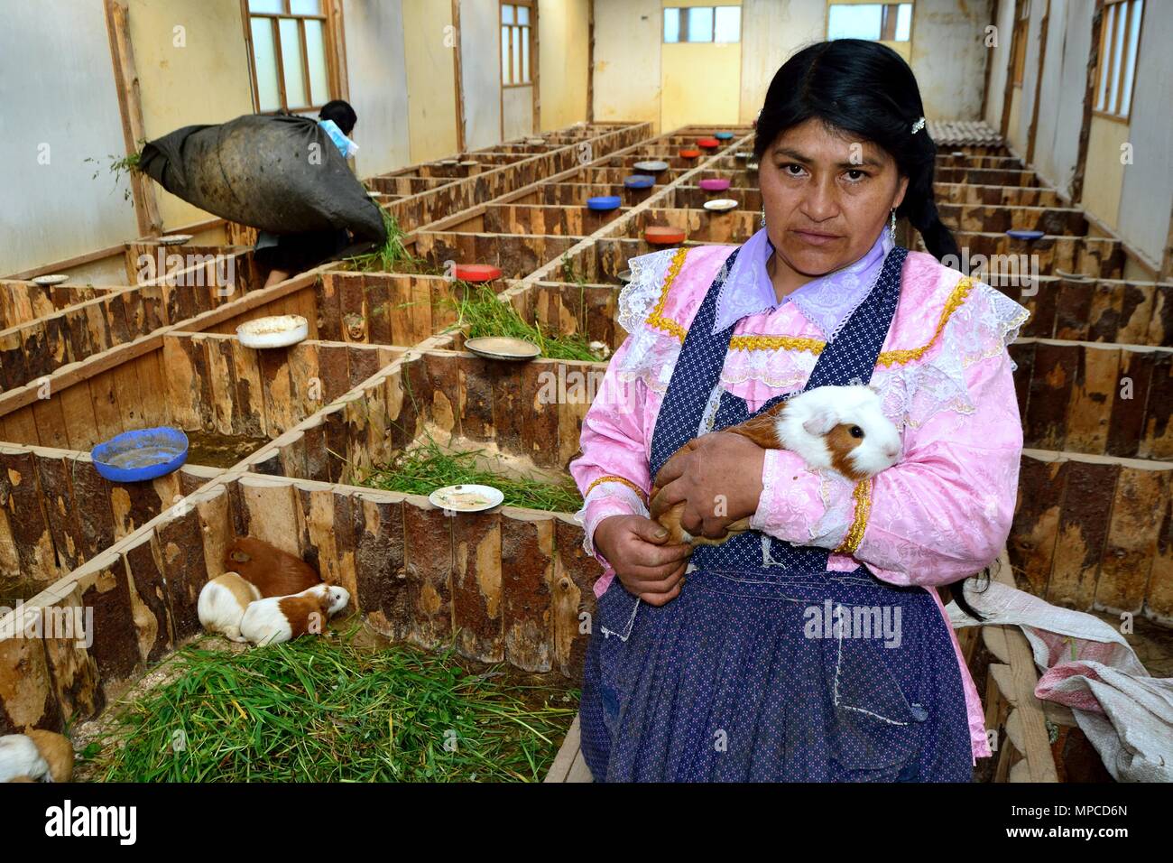 Peruvian farm workers hi-res stock photography and images - Alamy