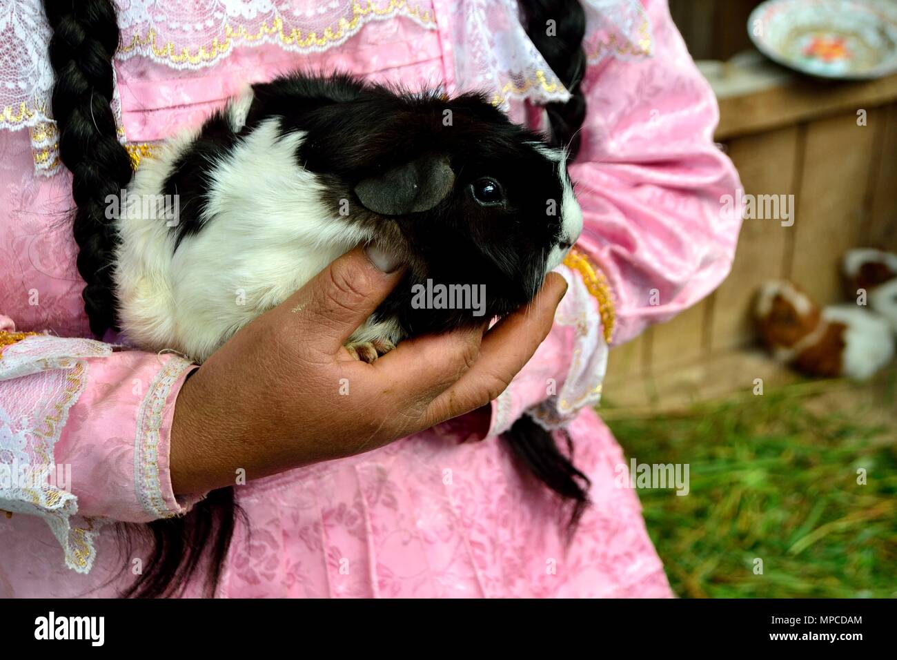 Peruvian farm workers hi-res stock photography and images - Alamy