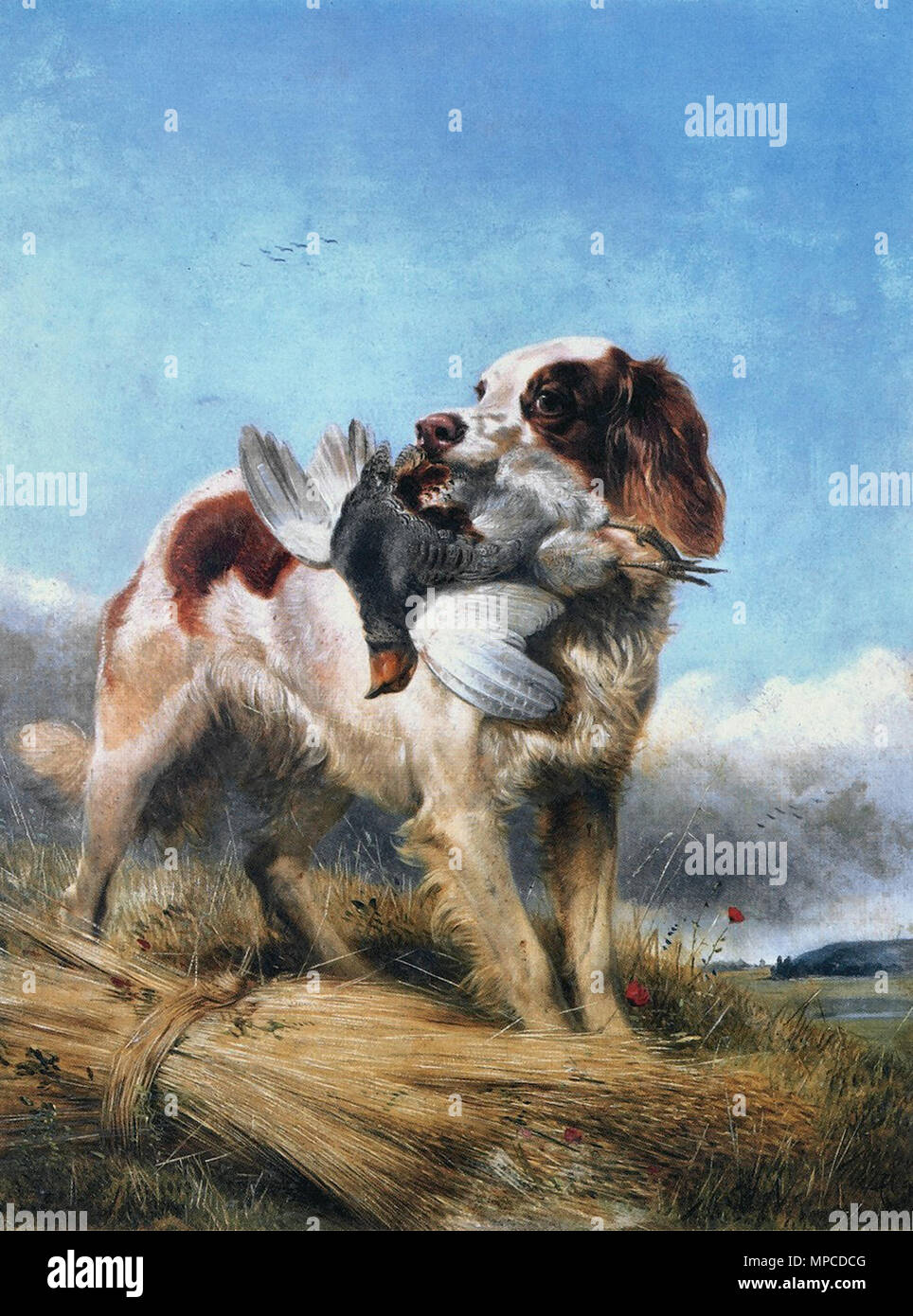 Richard partridge hi-res stock photography and images - Alamy