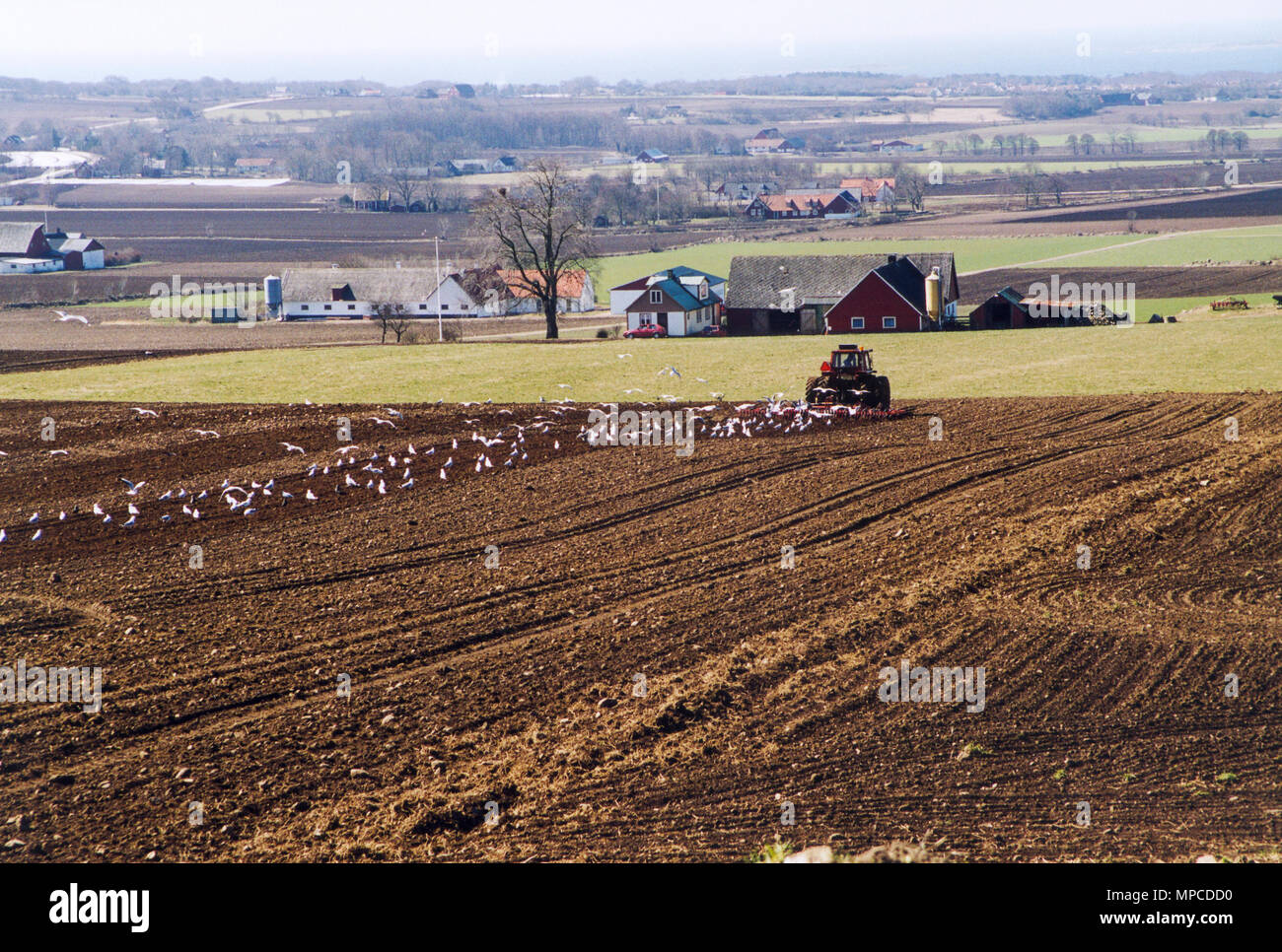 SPRING FARMING at Bjärehalvön, in Skåne 2005 Stock Photo - Alamy