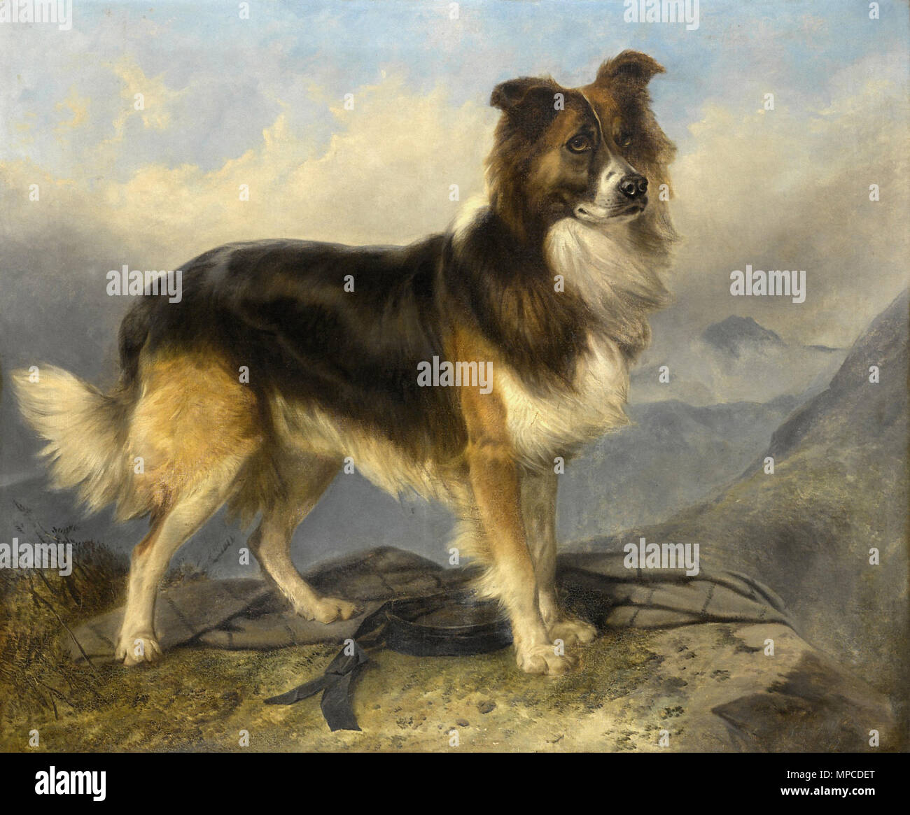 Ansdell hi-res stock photography and images - Alamy