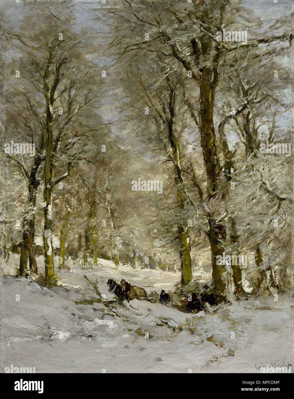 Apol Louis - Winter in Het Haagse Bos 2 Stock Photo - Alamy
