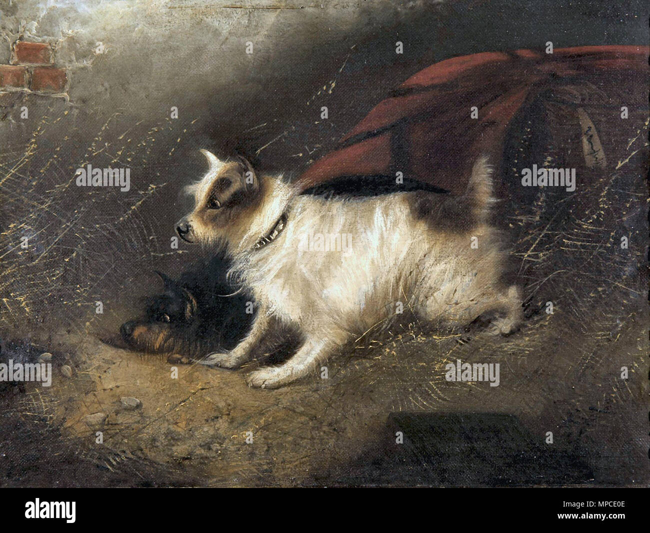 Edward armfield hi-res stock photography and images - Alamy