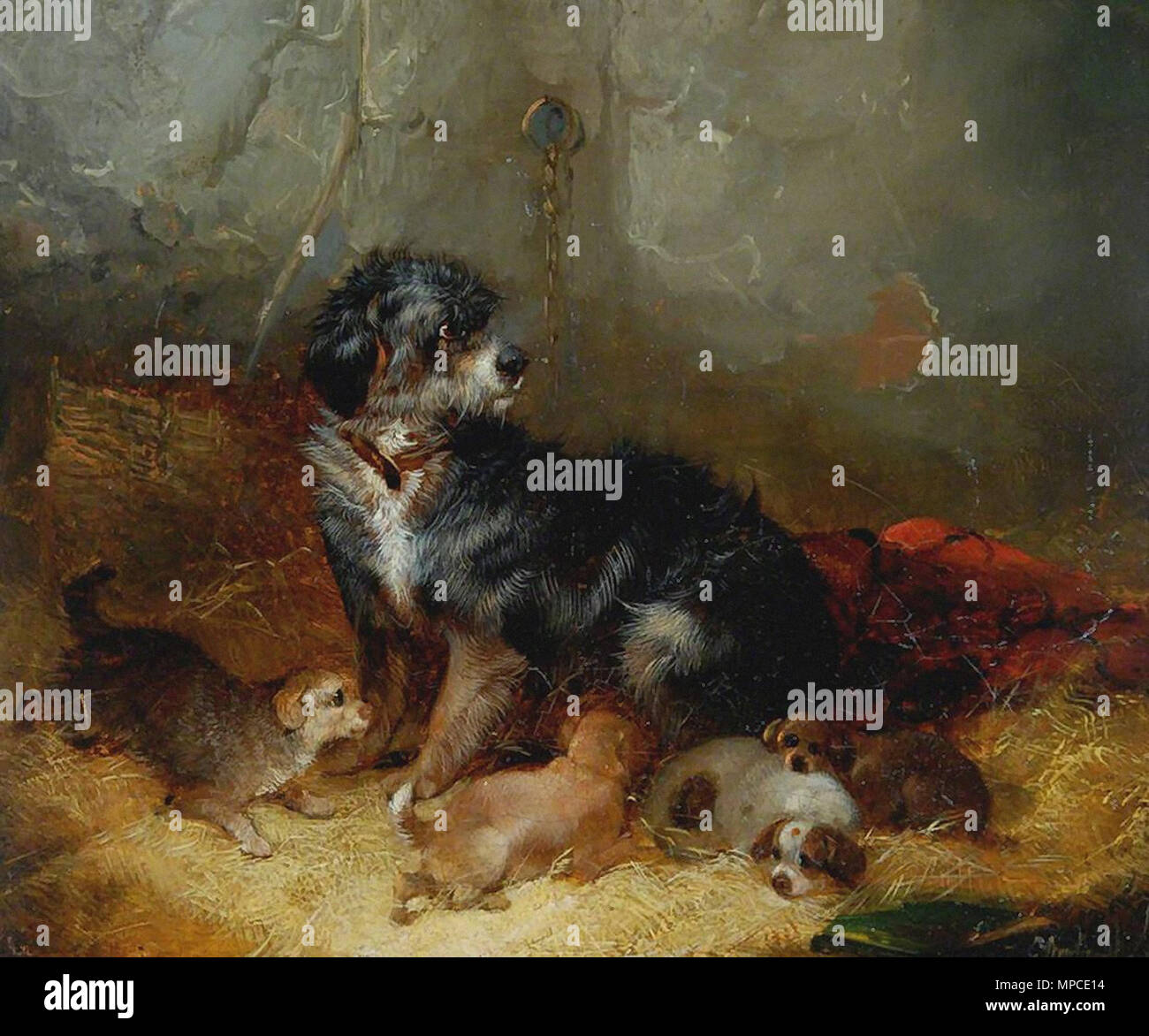 George armfield hi-res stock photography and images - Alamy