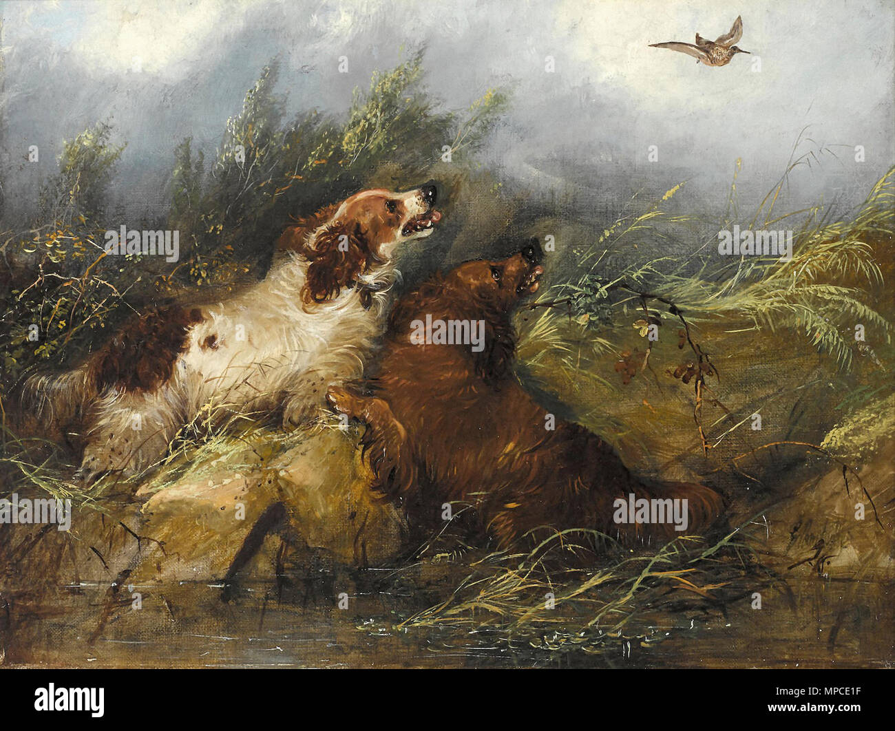 Flushing a hi-res stock photography and images - Alamy