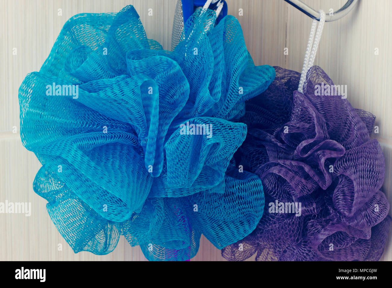 blue sponge hanging on a hook in the bathroom Stock Photo - Alamy
