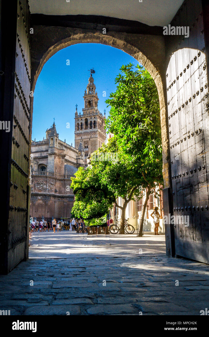 View of the Sevilla cathedral tower from the Alcazar palace in Spain ...