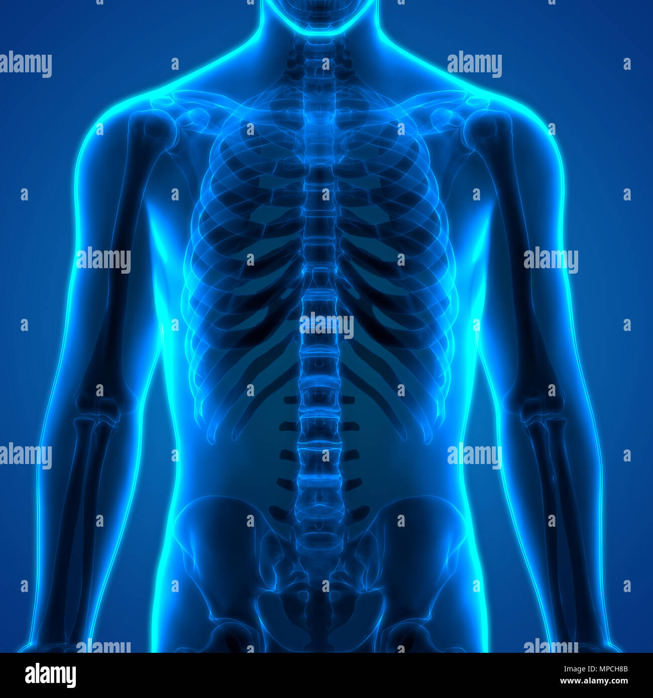 Human Body Bone Joint Pains Anatomy Stock Photo - Alamy