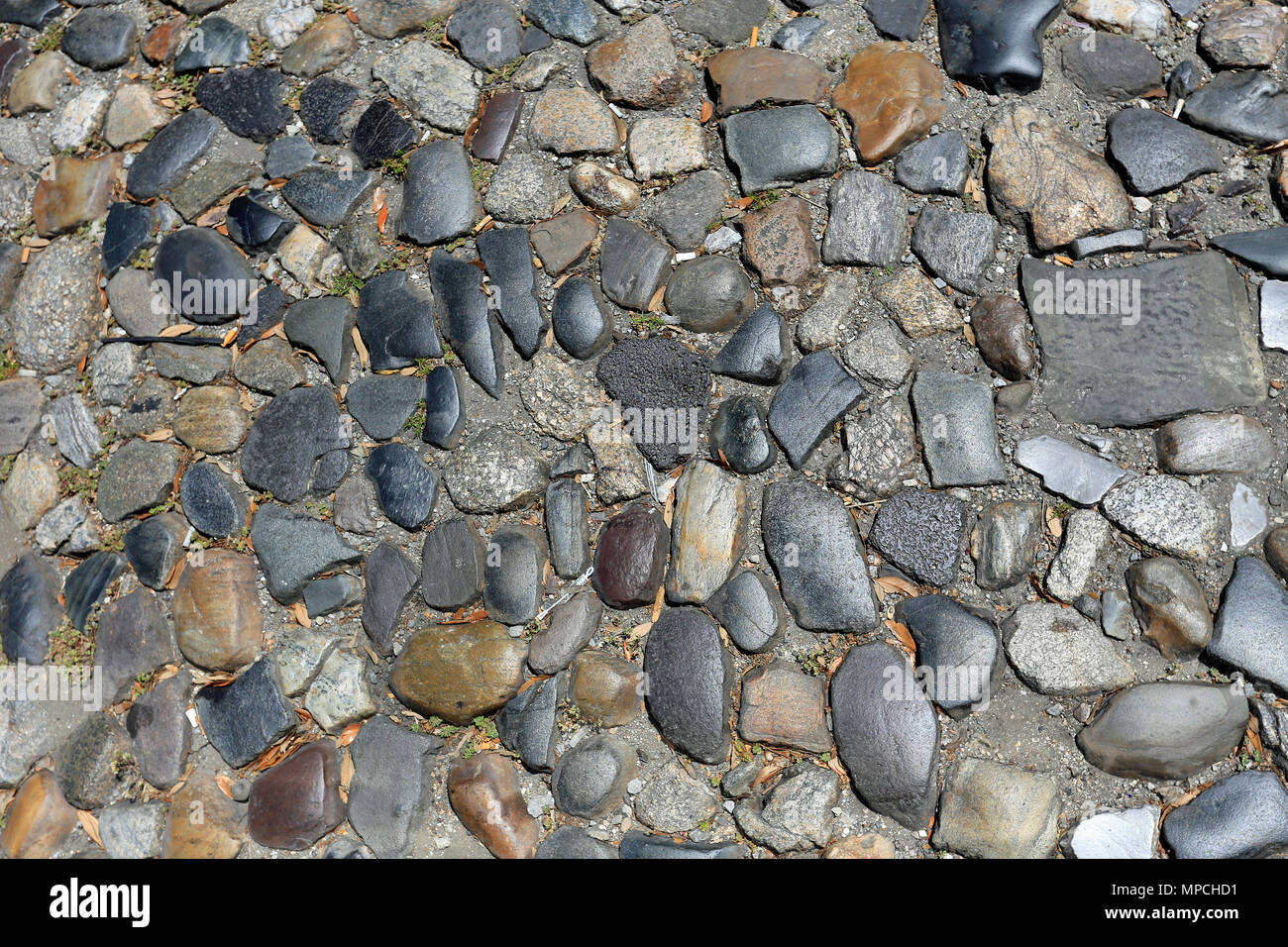 cobble stone street pattern in the city of Savannah, Georgia, USA Stock ...