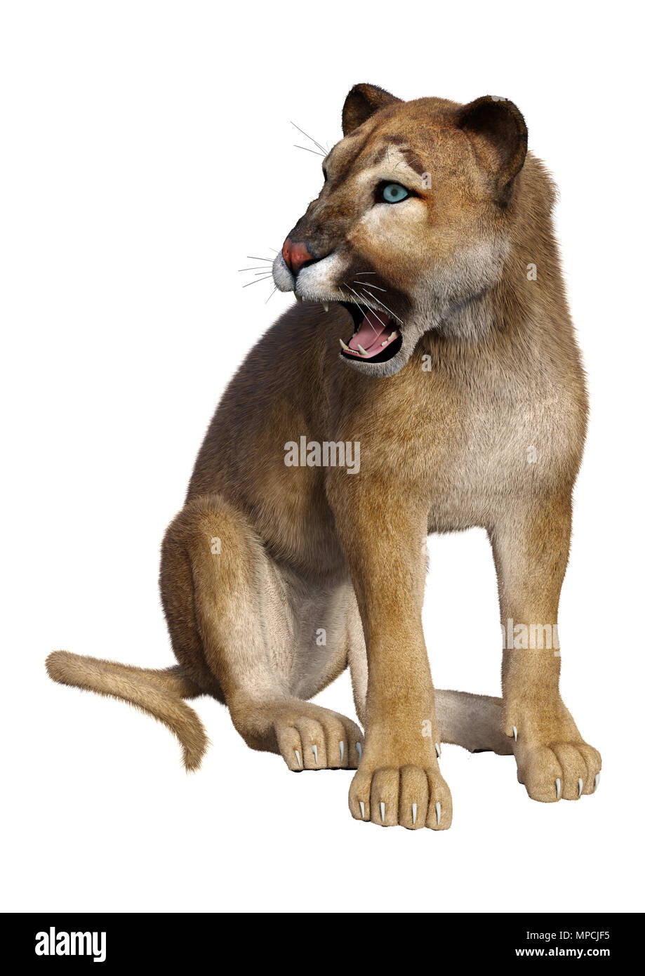 3D rendering of a big cat puma isolated on white background Stock Photo ...