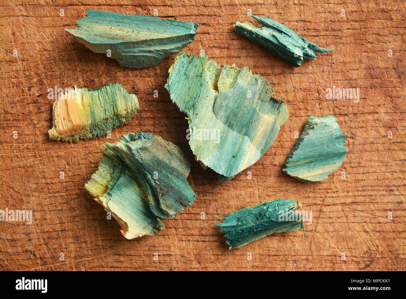 xylindein pigment on wood due to Chlorociboria Aeruginascens fungus ...