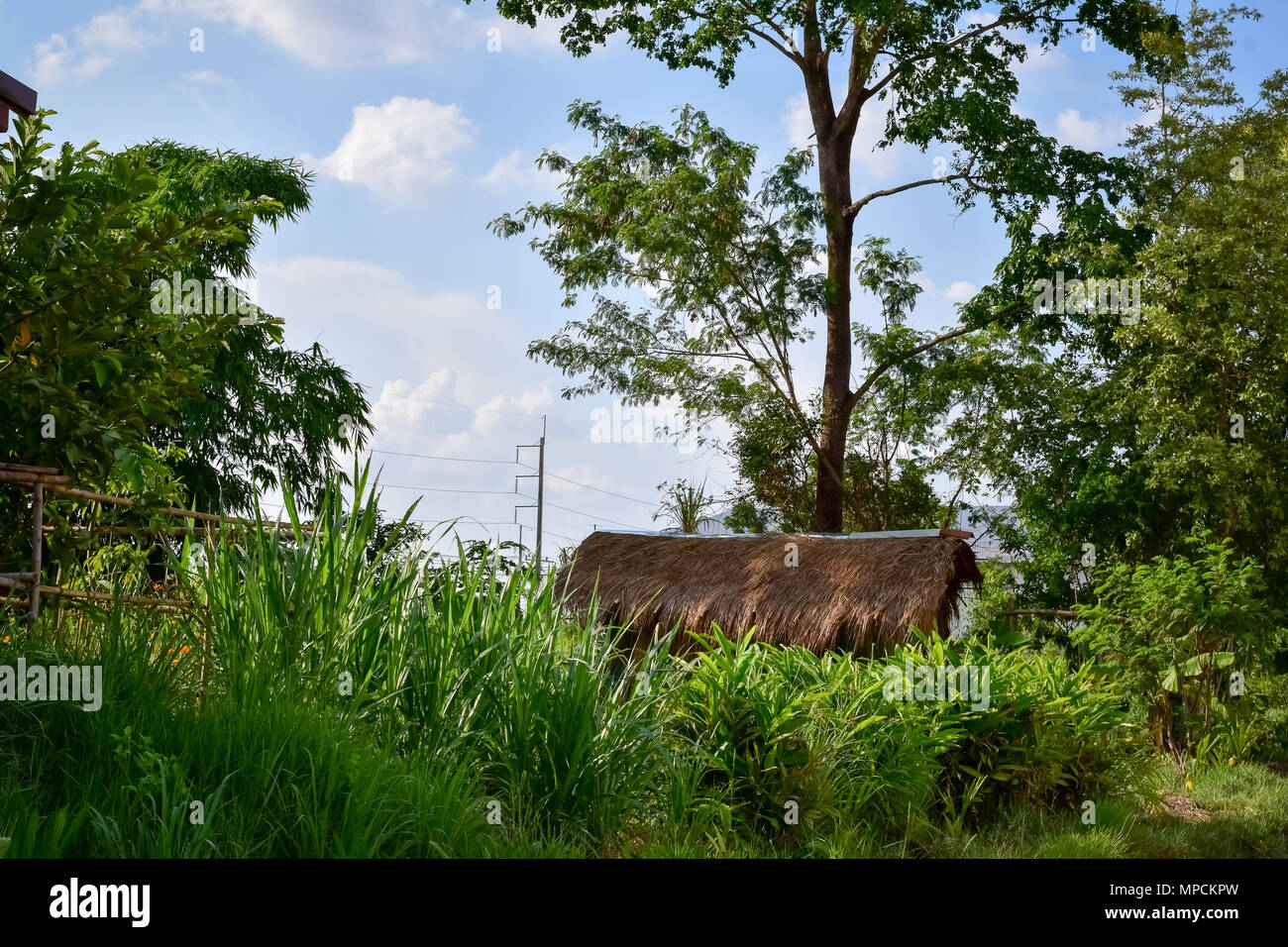 Little hut hi-res stock photography and images - Alamy