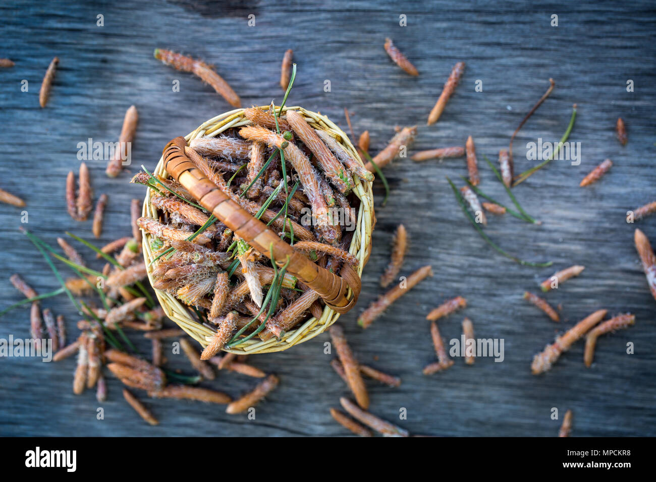Pine Needles. top view Stock Photo - Alamy