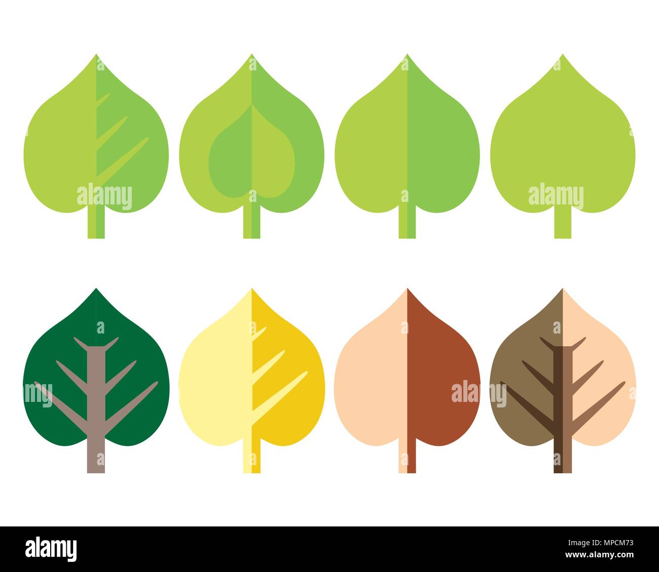 Tree leaf vector hi-res stock photography and images - Alamy