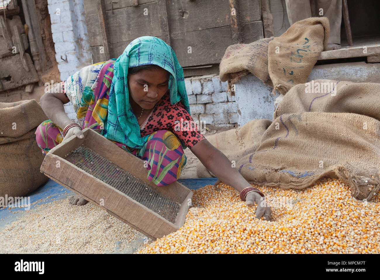 Winnowing maize hi-res stock photography and images - Alamy