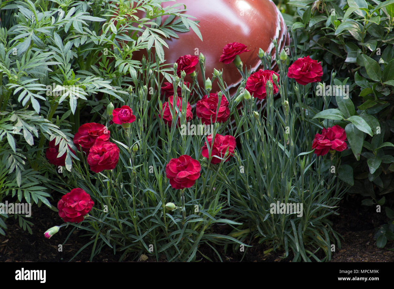 British Council Garden - India: A Billion Dreams. Designer: Sarah ...