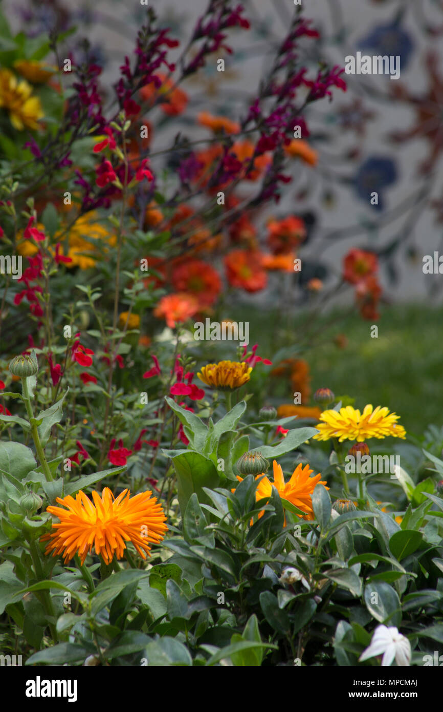 Chelsea show garden designer sarah eberle hi-res stock photography and ...